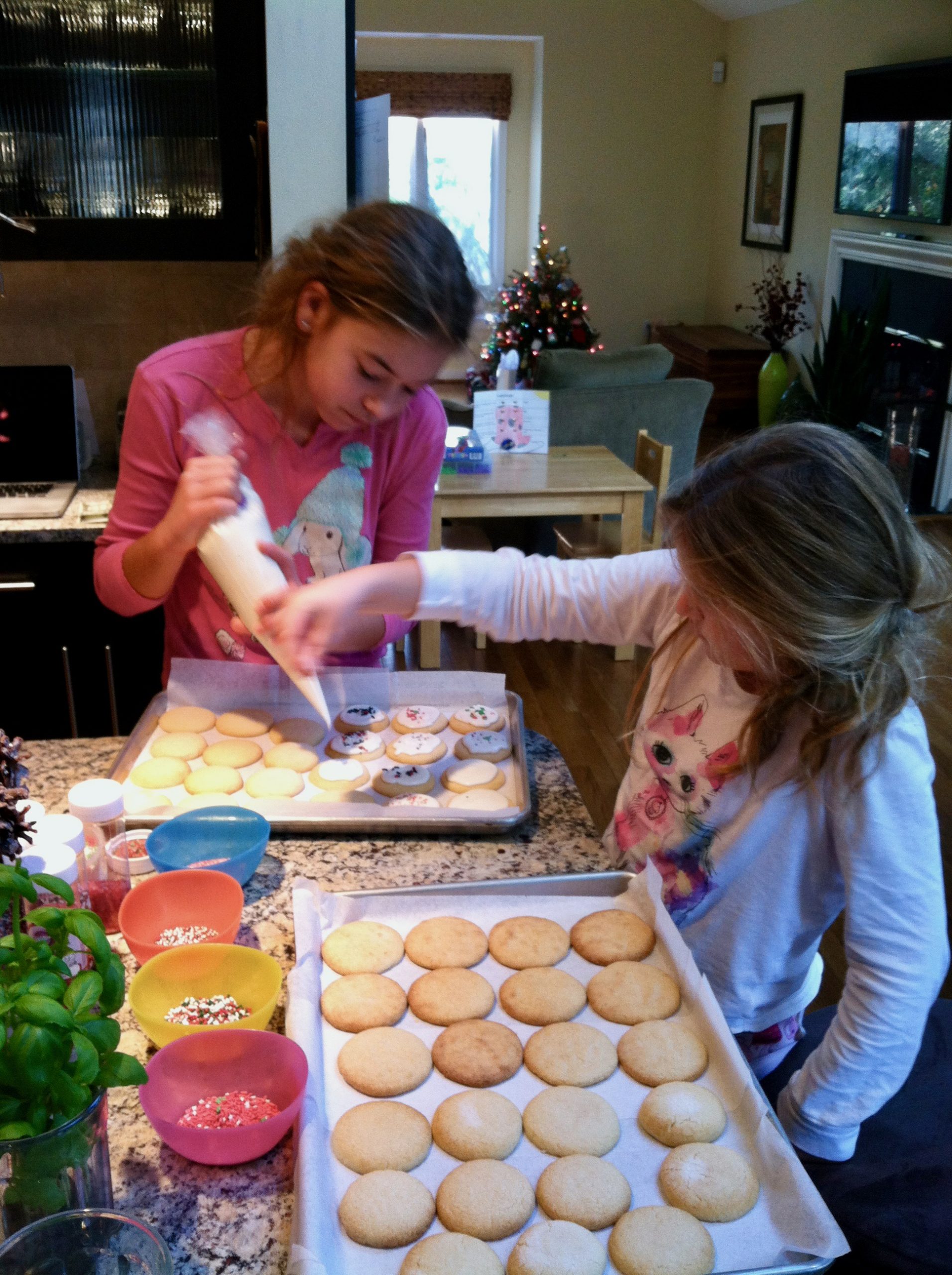 Gram's Classic Sugar Cookies with Icing | epicuricloud (Tina Verrelli)
