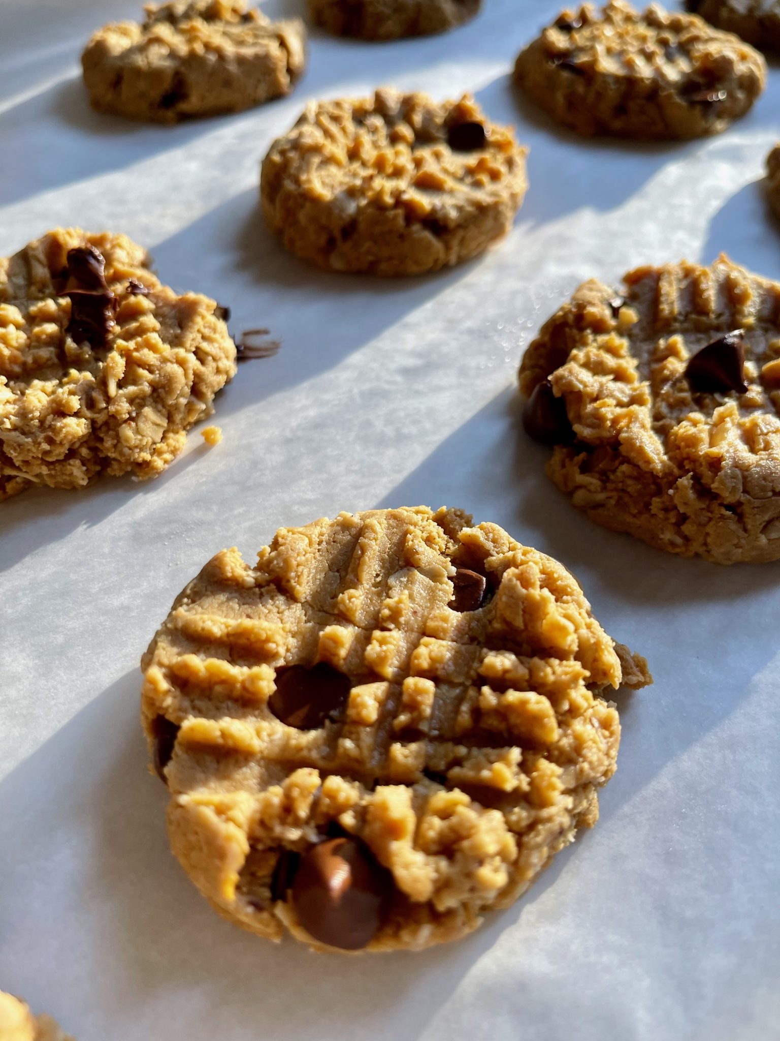 Peanut Butter Chocolate Chip Protein Cookies | epicuricloud (Tina Verrelli)